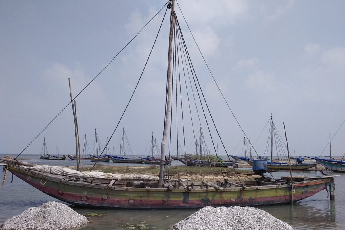 Red listing the Pulicat lagoon may help protect the ecosystem, say ...