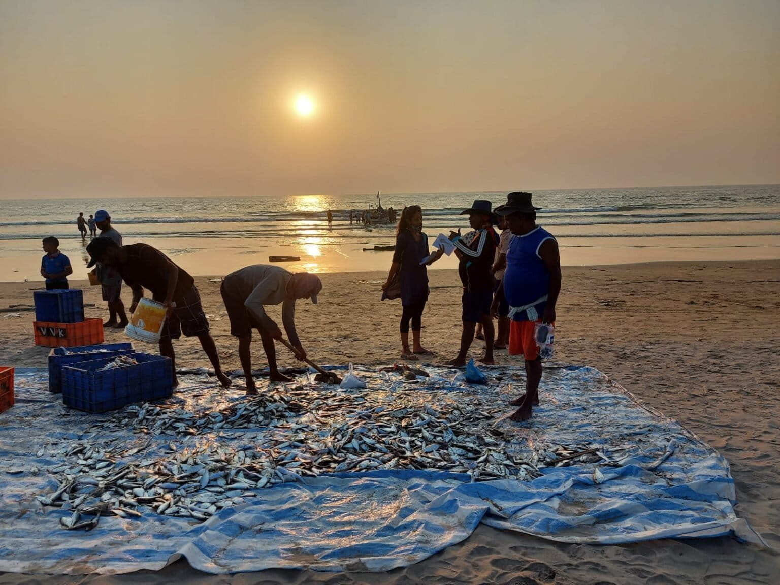 Understanding the role of local communities in the conservation of ...