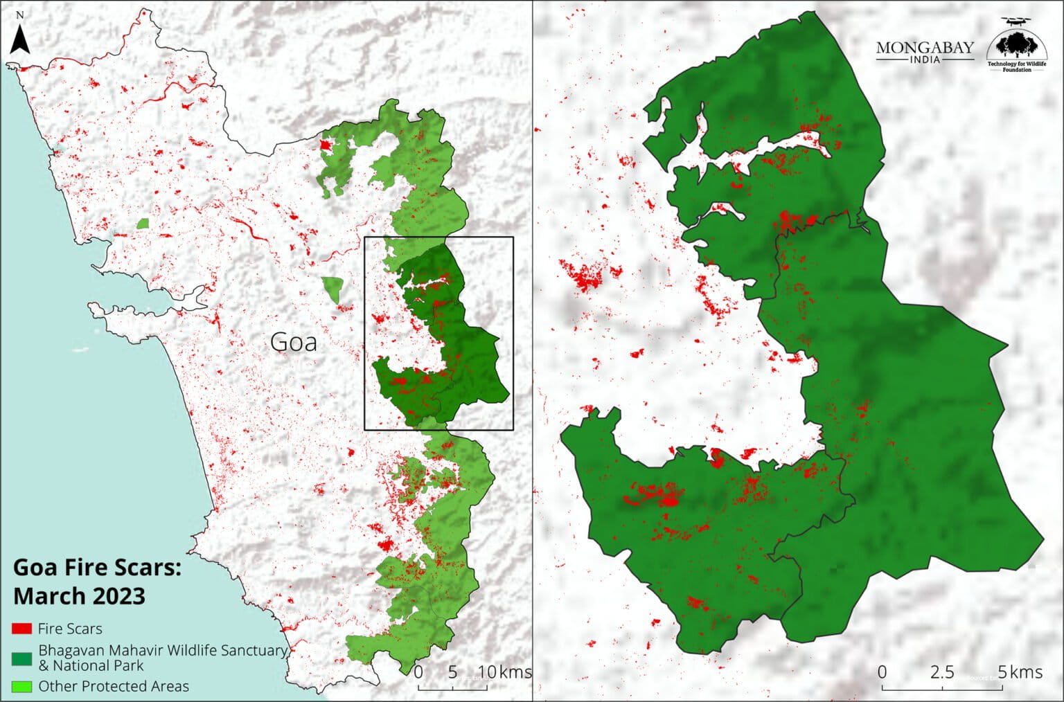 We didn't start the fire?