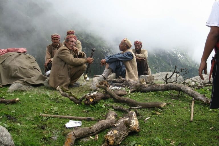 Despite Chamba order, stopping plantation on migratory routes of ...