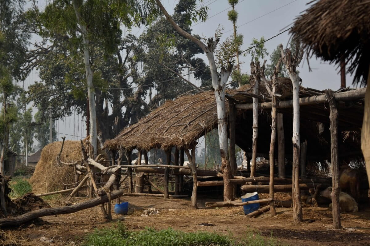 [Commentary] A decade after relocation, the lives of Van Gujjars still ...