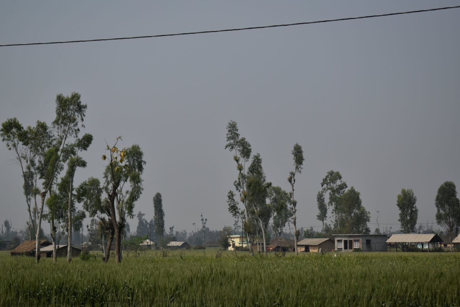 [Commentary] A decade after relocation, the lives of Van Gujjars still ...