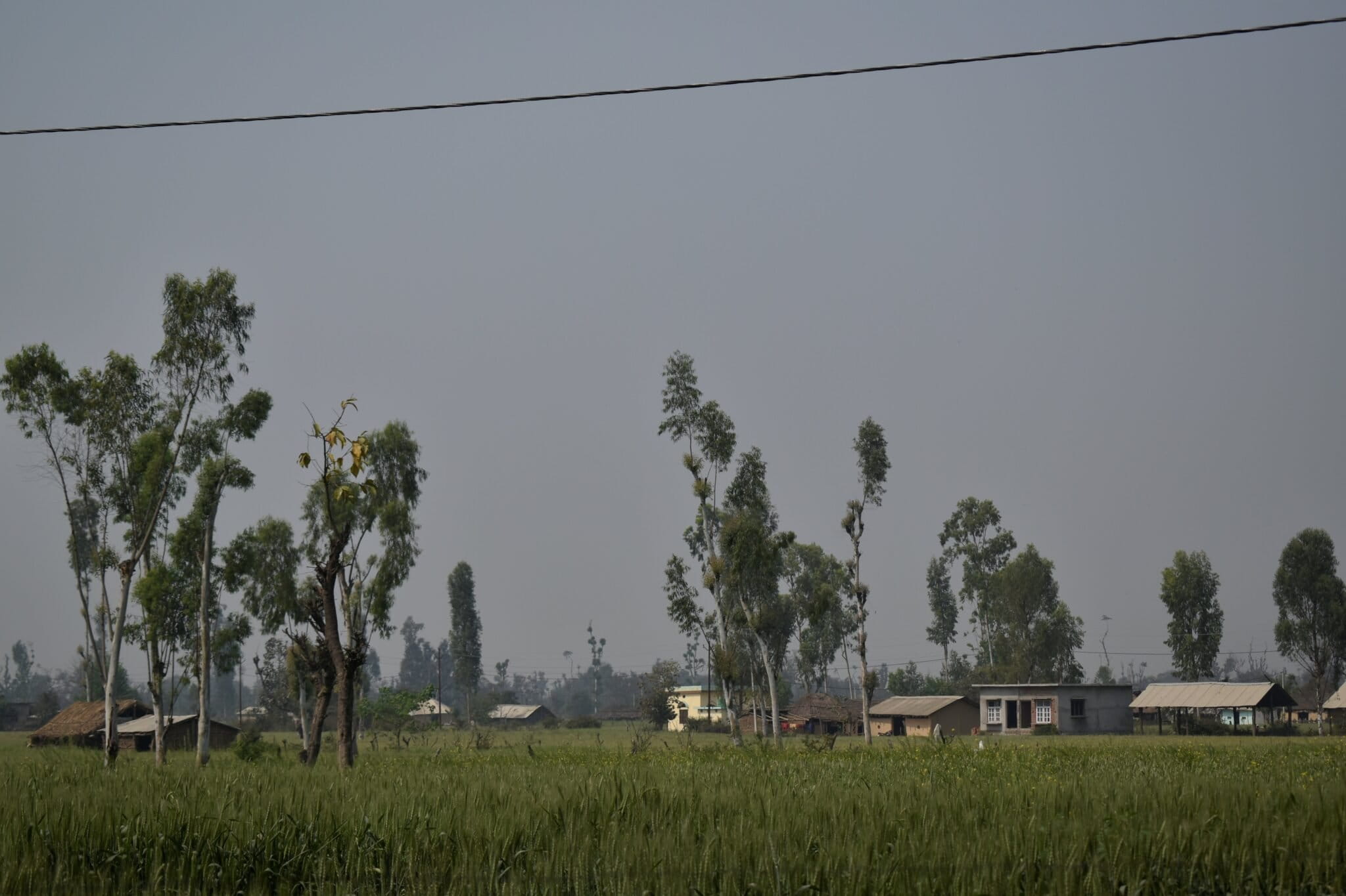 [Commentary] A decade after relocation, the lives of Van Gujjars still ...