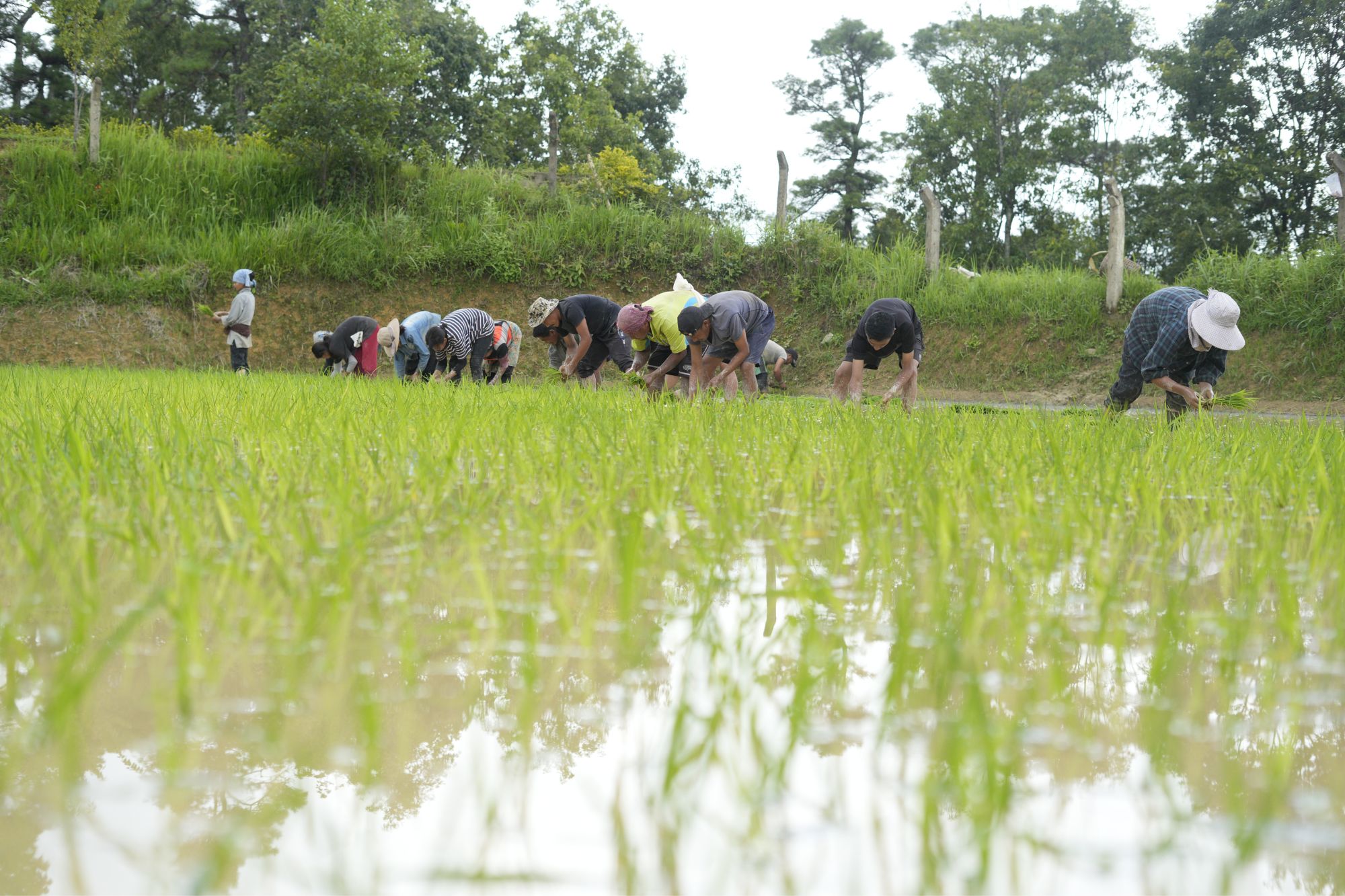Ruza, a traditional water harvesting system for the water-scarce mountains