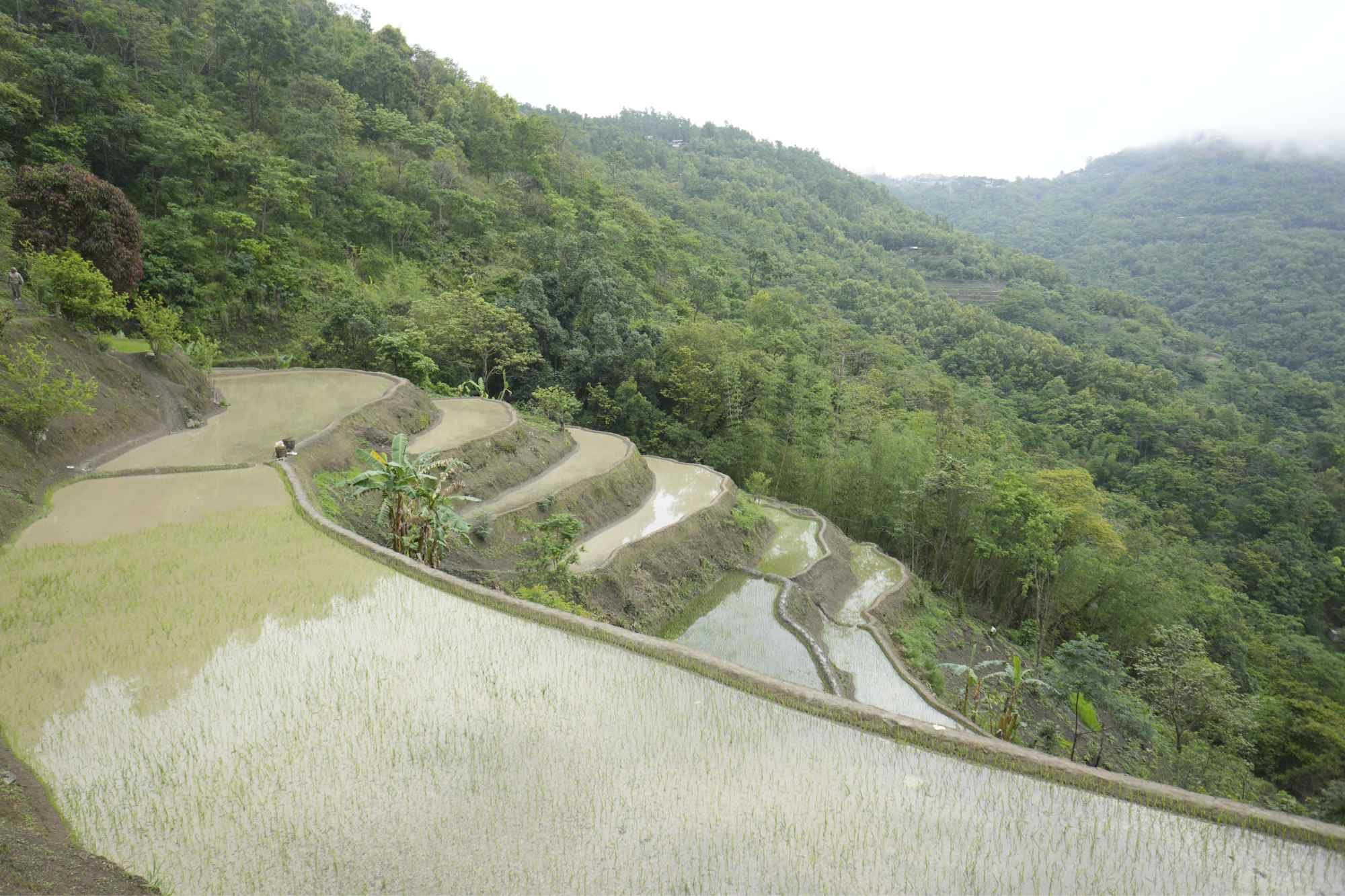 Ruza, a traditional water harvesting system for the water-scarce mountains
