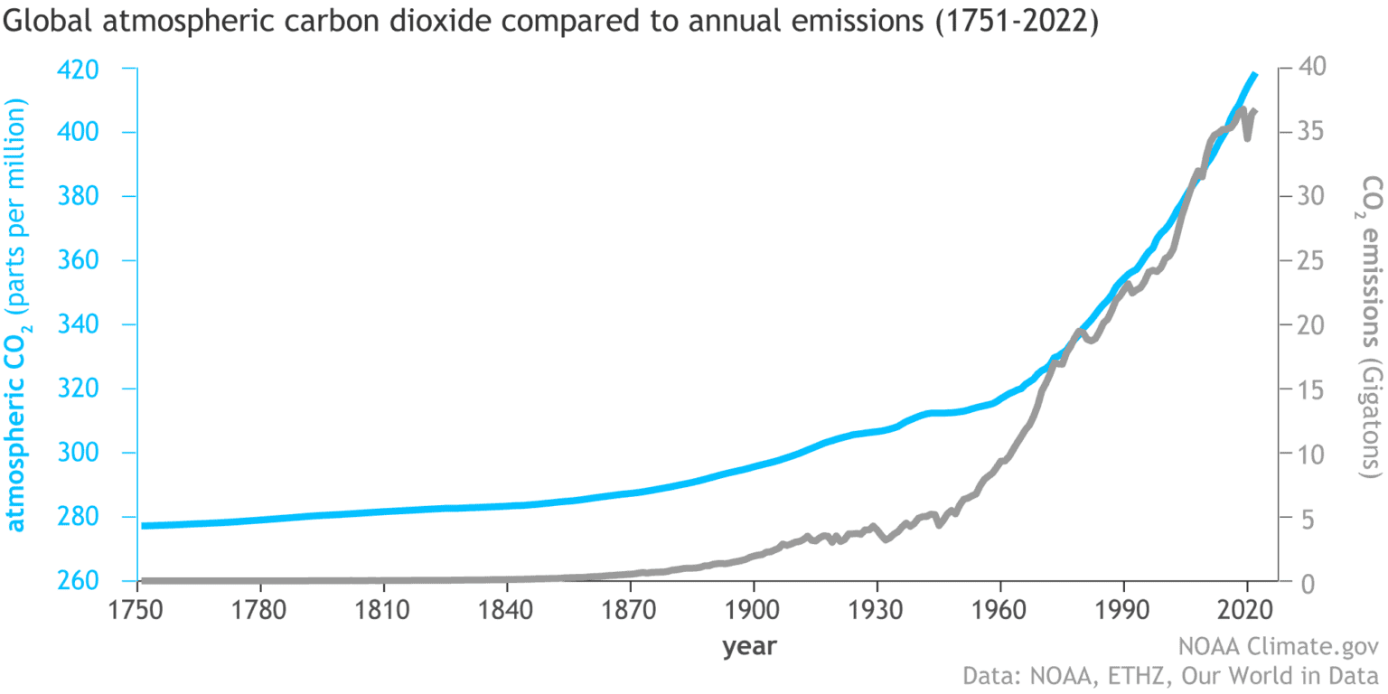 Increasing carbon dioxide is making our food less nutritious