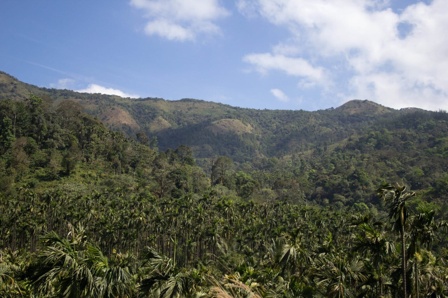 [Book Review] Pioneer ecologist Madhav Gadgil on his life spent in, and ...
