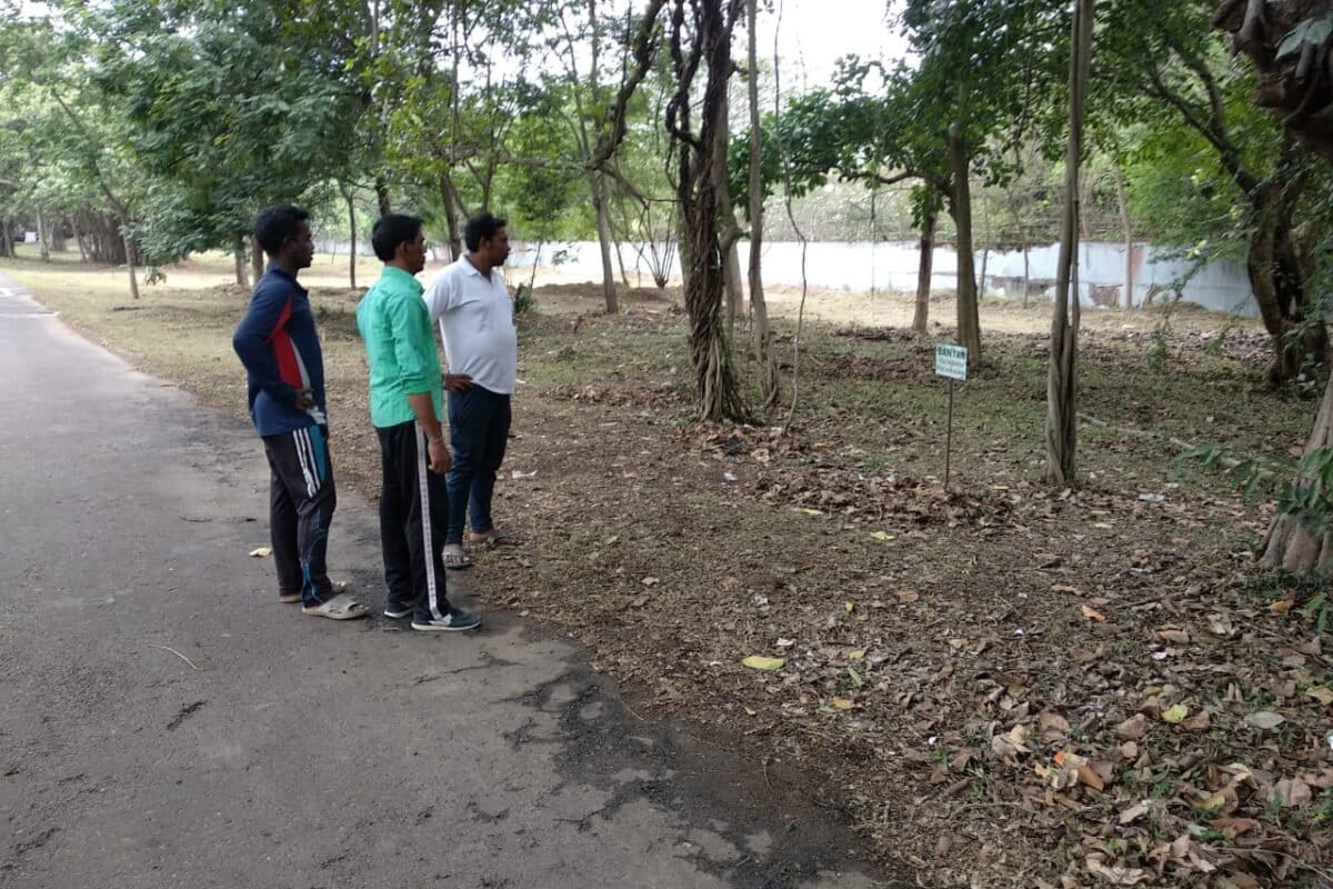 Knowledge of non-timber forest products supports conservation