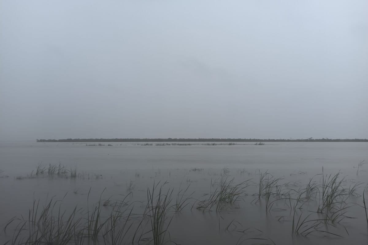 Grassland loss threatens endemic birds in Arunachal sanctuary