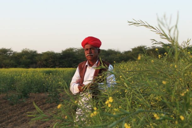 Mongabay-India - India's environmental science and conservation news