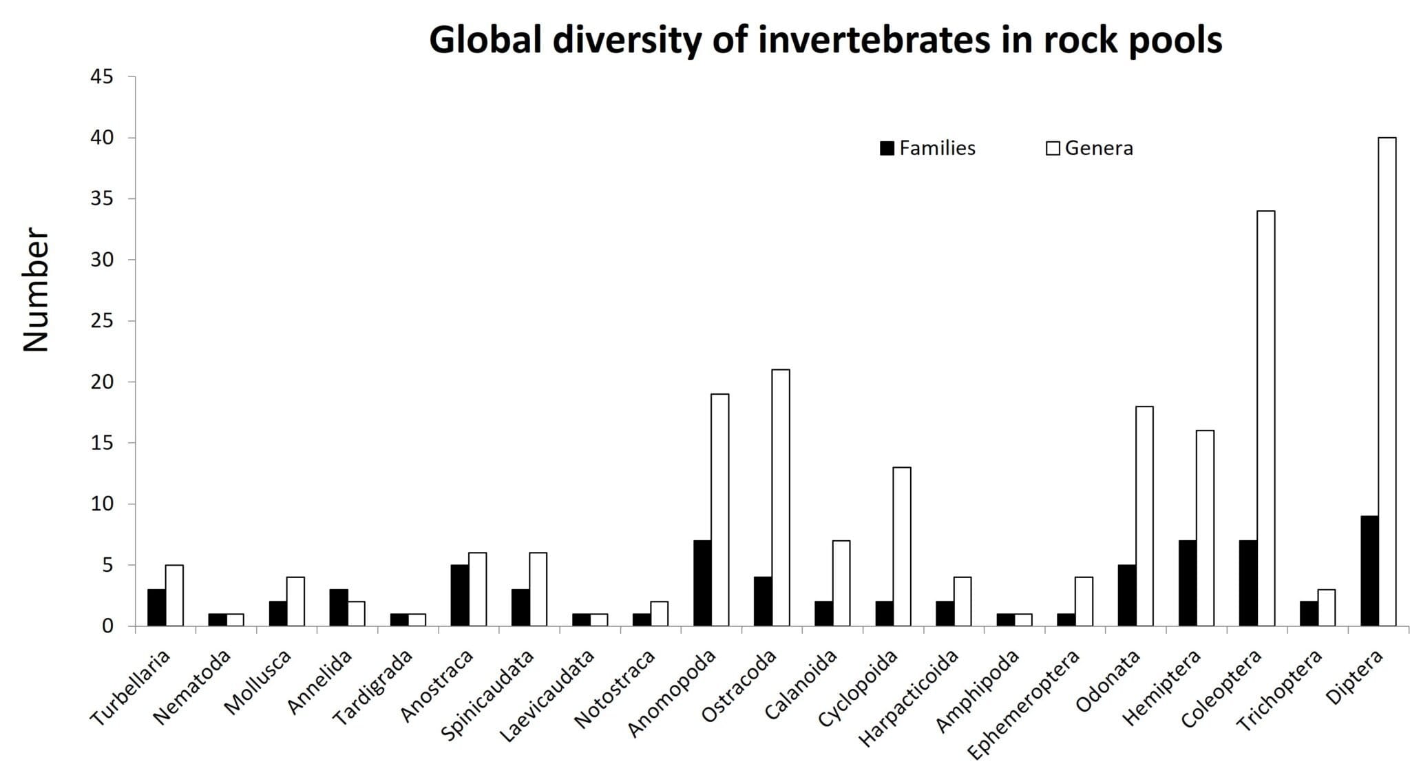 [Explainer] What are freshwater rock pools and who lives in them?
