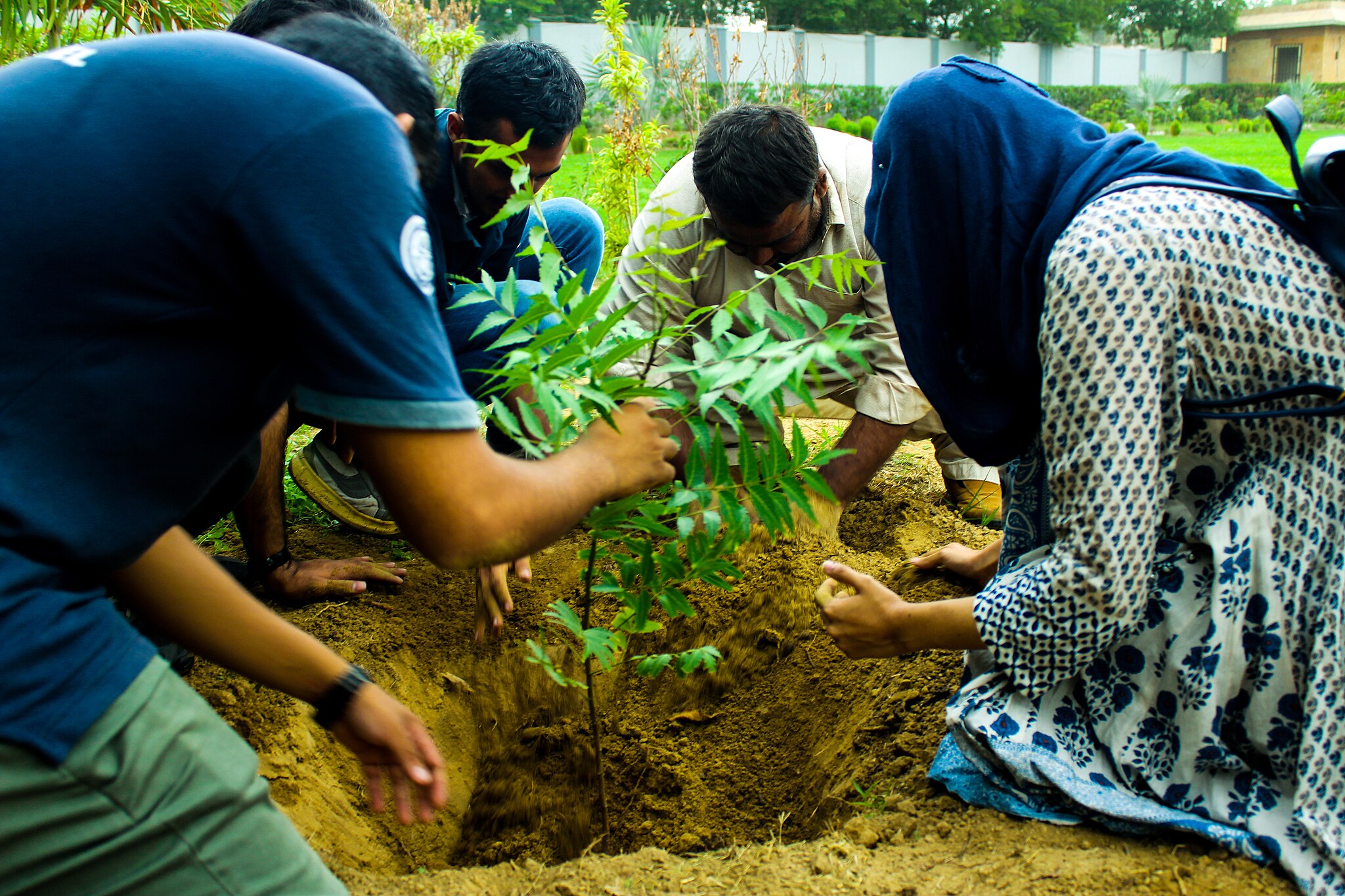 Ability of forests as carbon sinks in question amid global warming