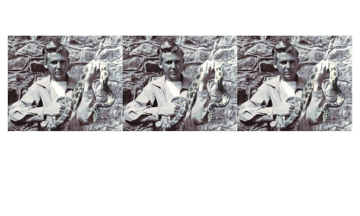 Romulus Whitaker's autobiography book review