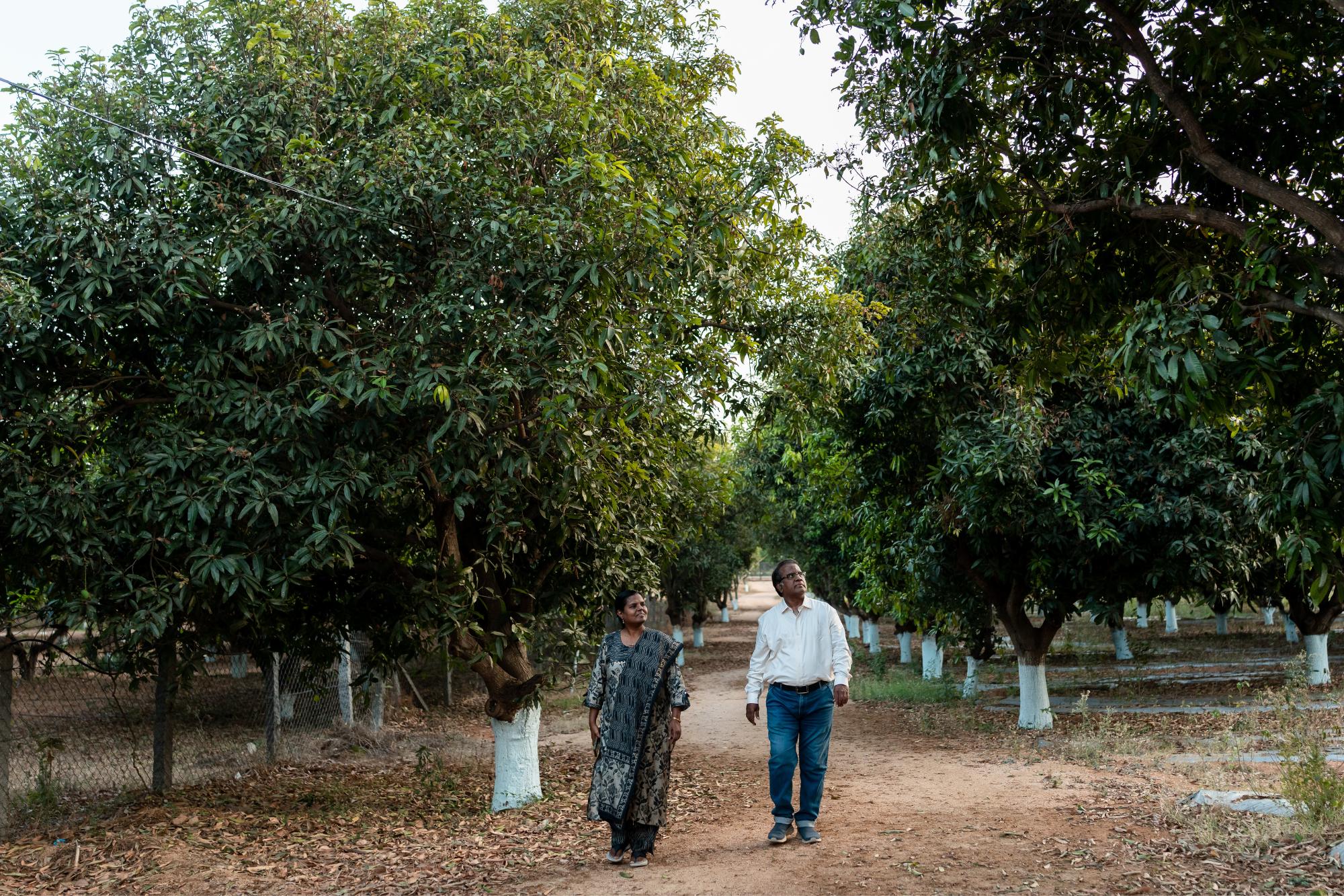 Farming with drones and AI-based tools to increase yield