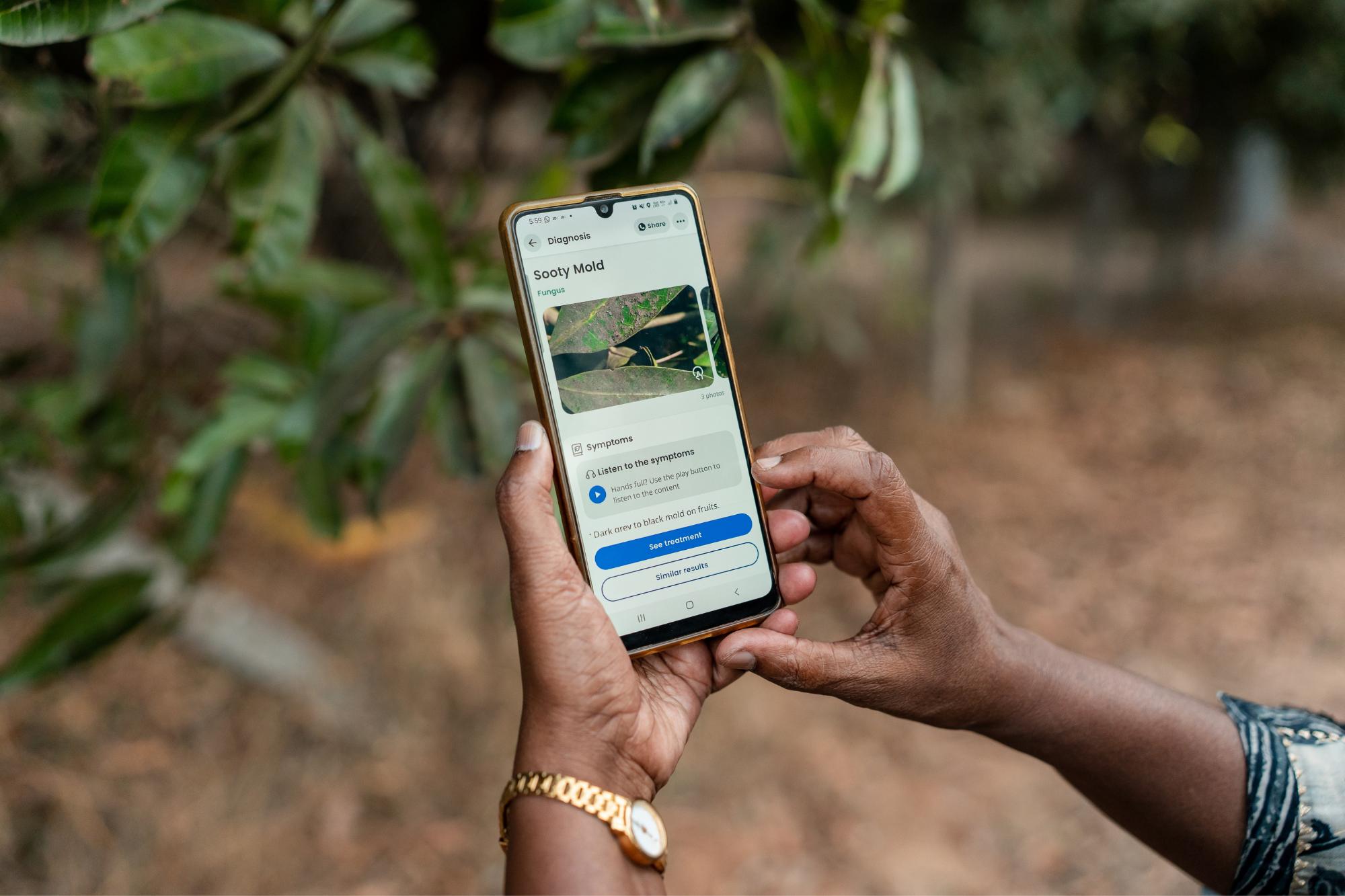 Farming with drones and AI-based tools to increase yield