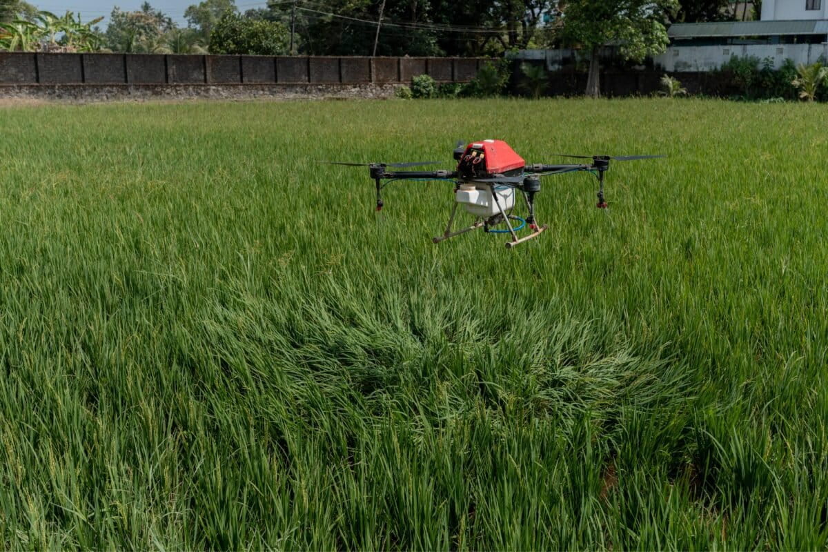 Farming with drones and AI-based tools to increase yield