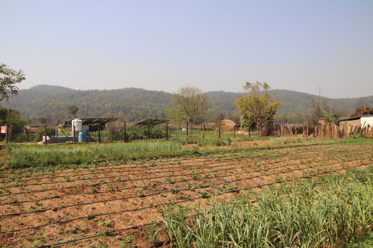In forested villages powered by solar, kitchen gardens aid in nutrition
