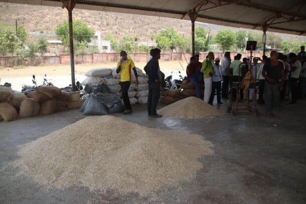 Rising above the waters with musk melon