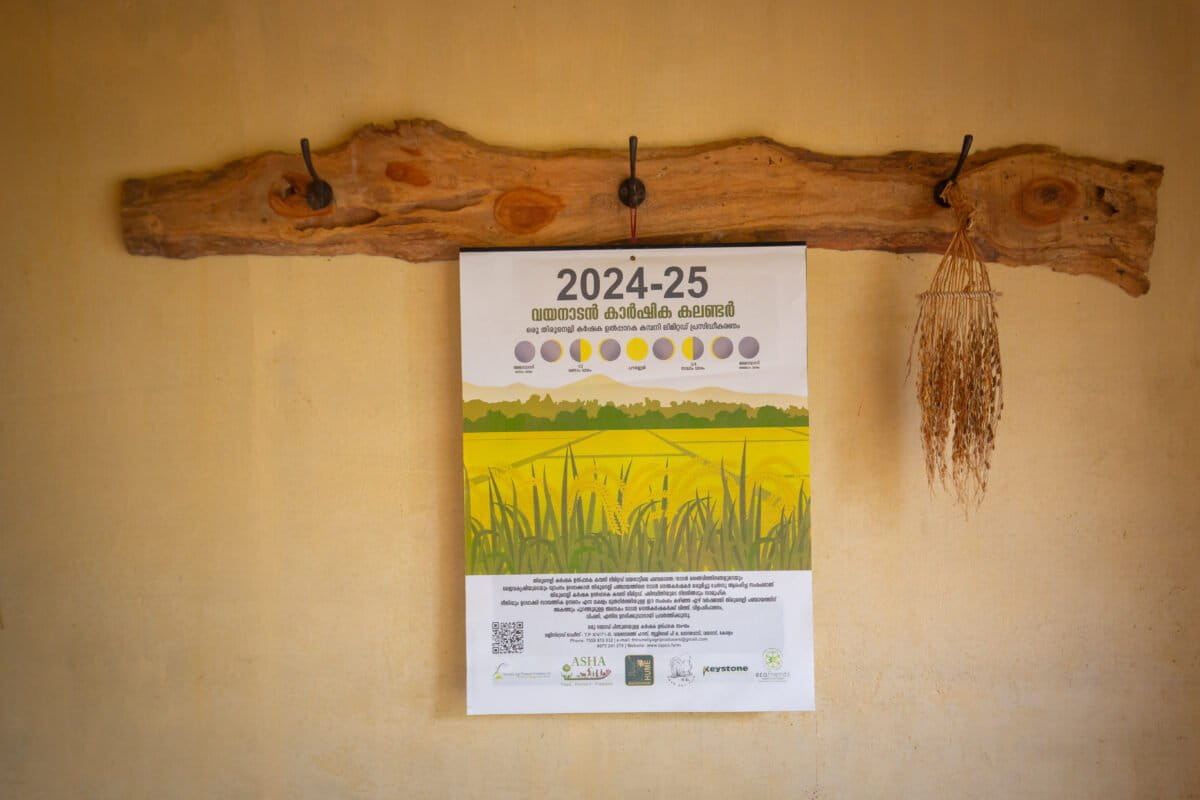 Agricultural calendar helps farmers weather climate variabilities