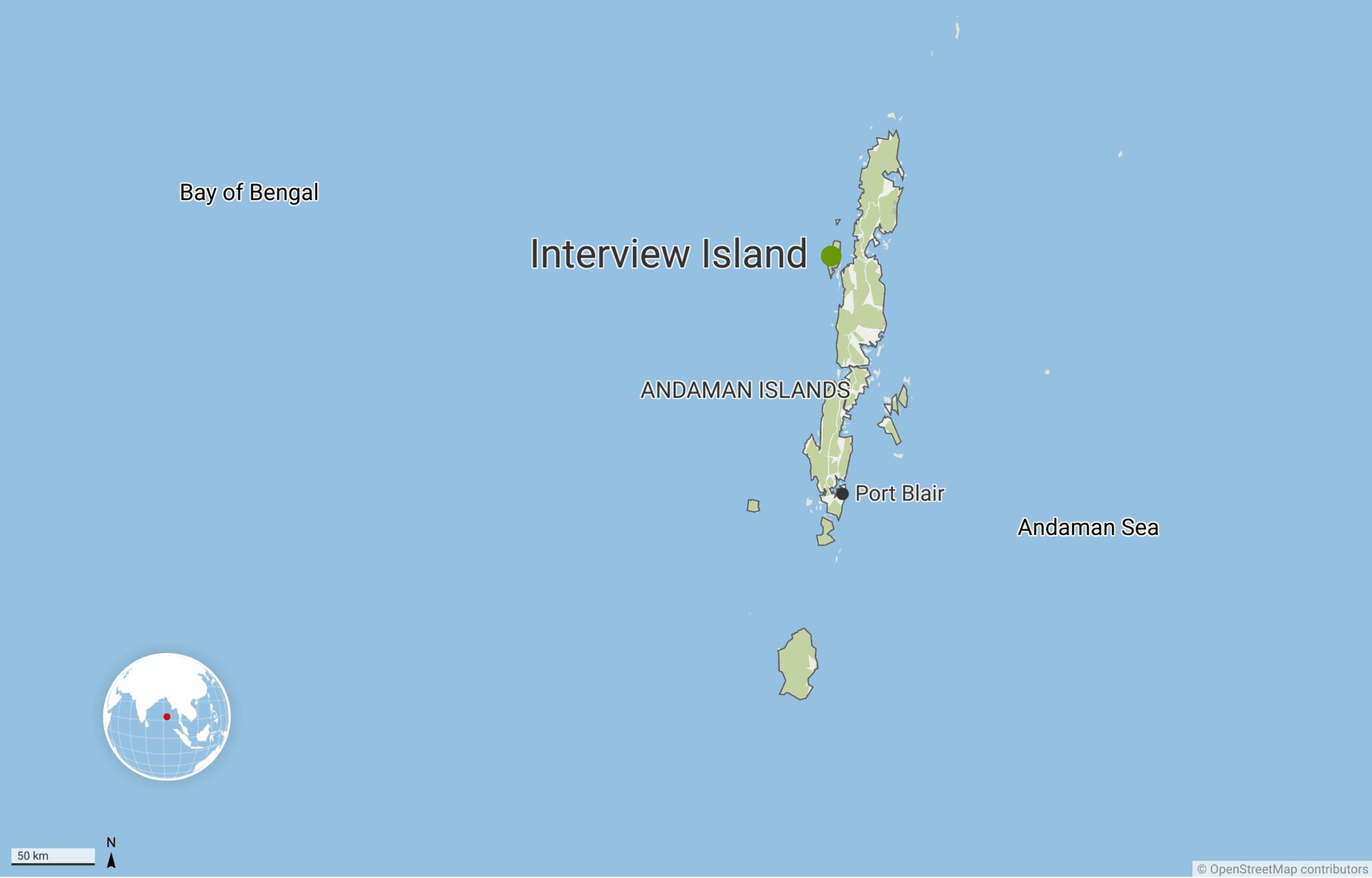 The feral elephants of the Andaman Islands
