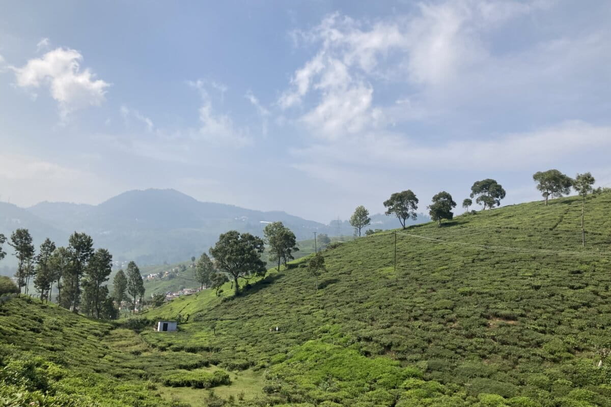 Habitat fragmentation and its impact on India’s biodiversity hotspots