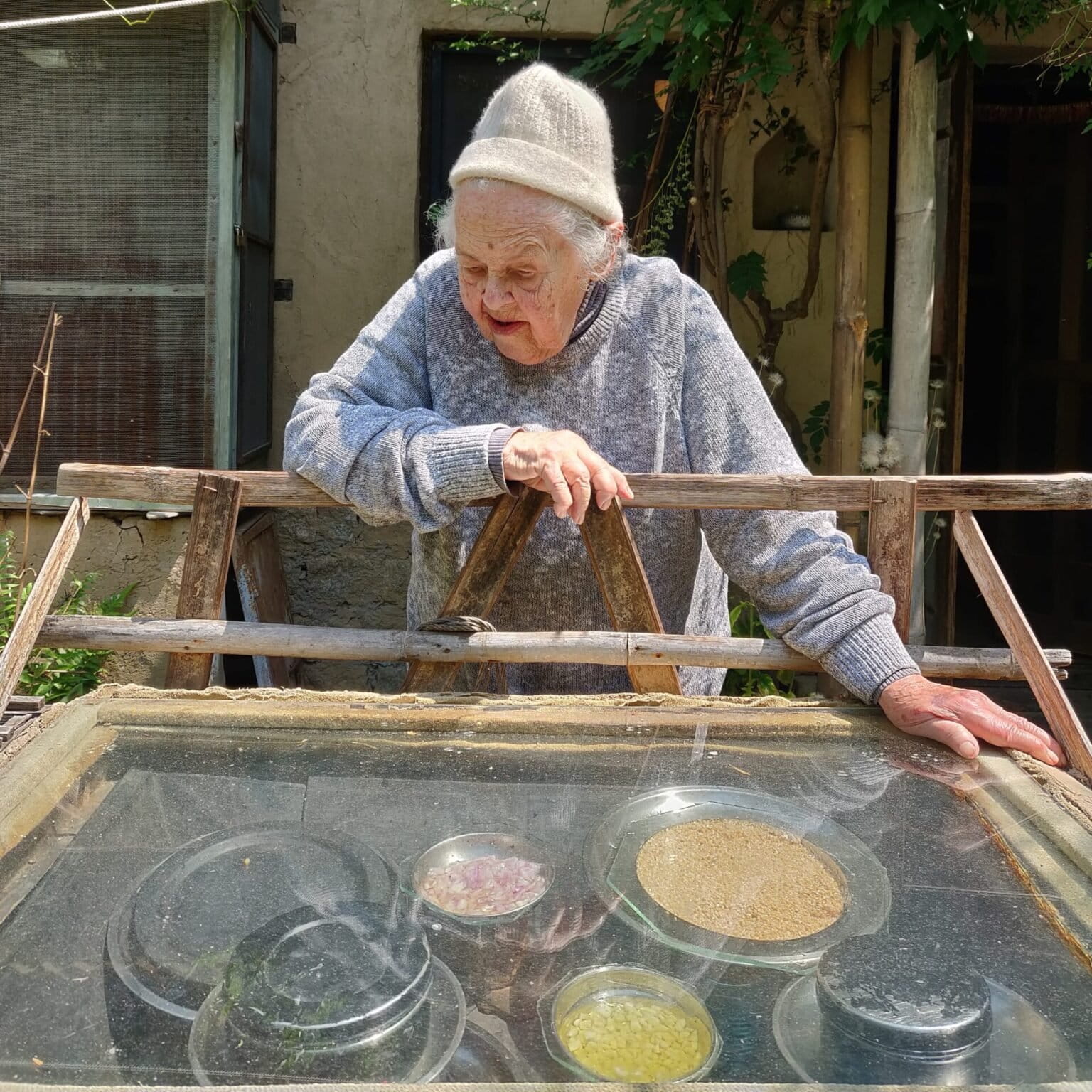 [Book Review] Didi Contractor's journey through ecologically-sensitive ...