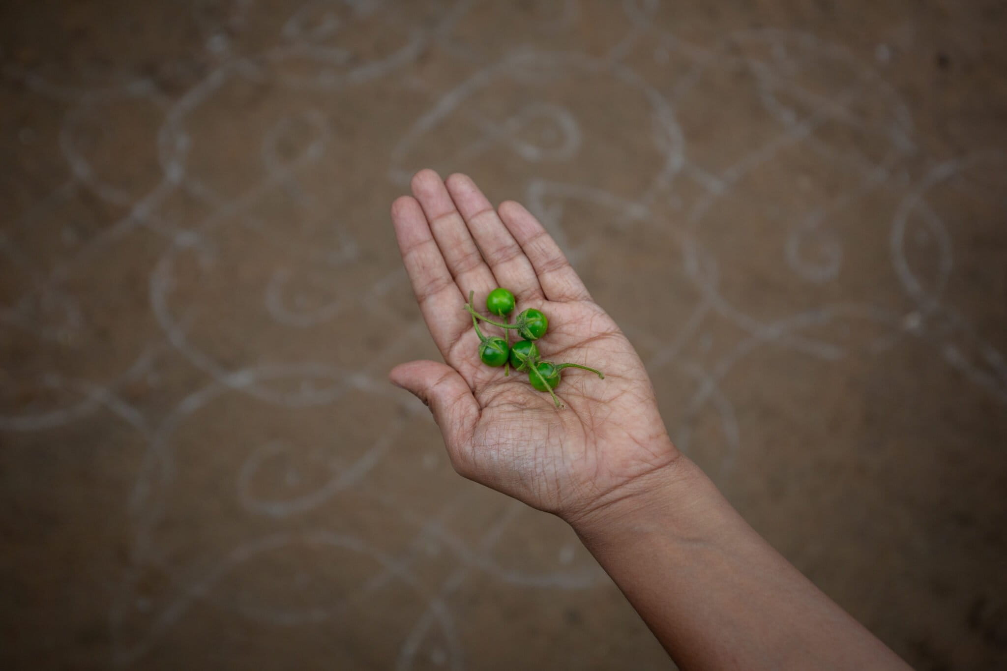Looking for nutritional gold in wild greens