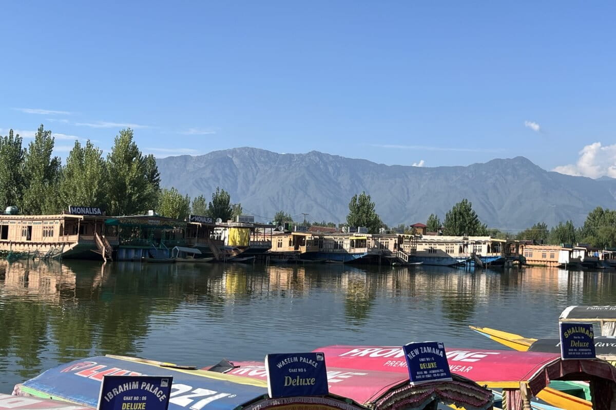 Pollution, construction threatens Kashmir’s iconic Dal lake, chinar trees