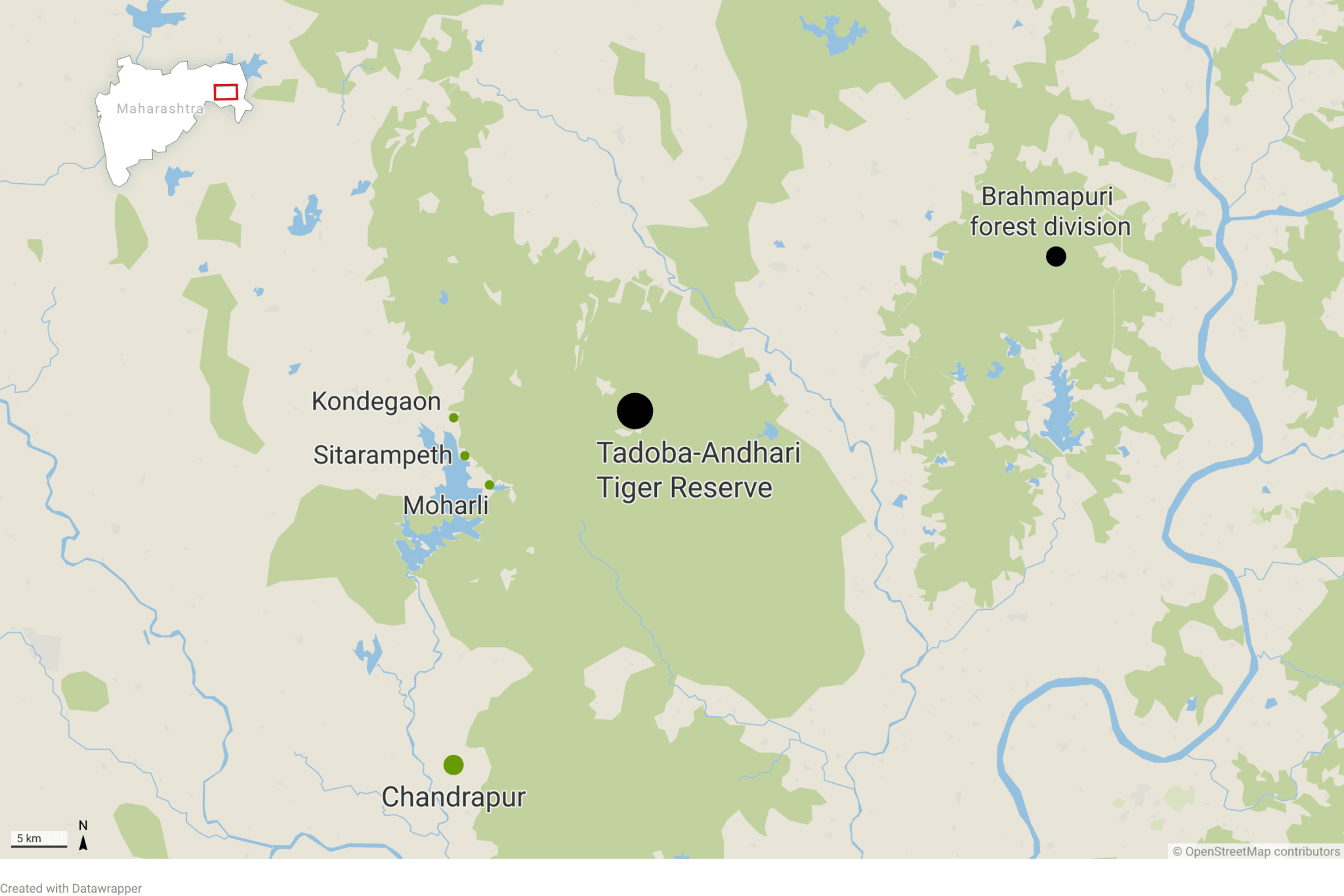 Living in fear as tigers leave the woods for the hood