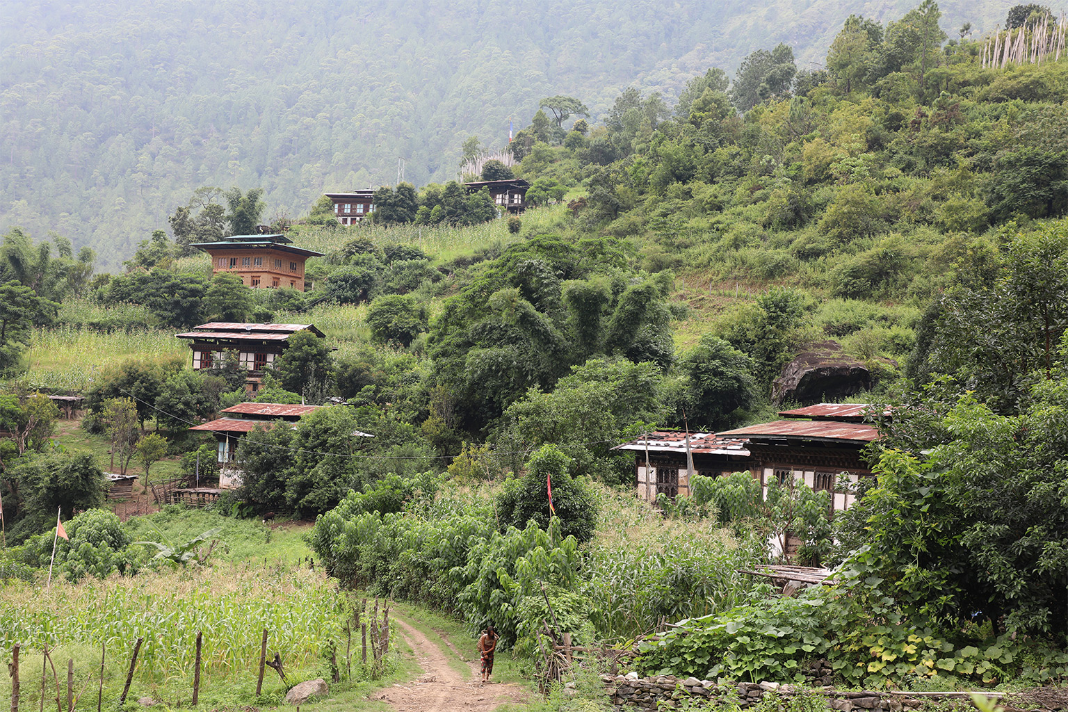 How a smoked fish tradition sustains an ethnic group in Bhutan
