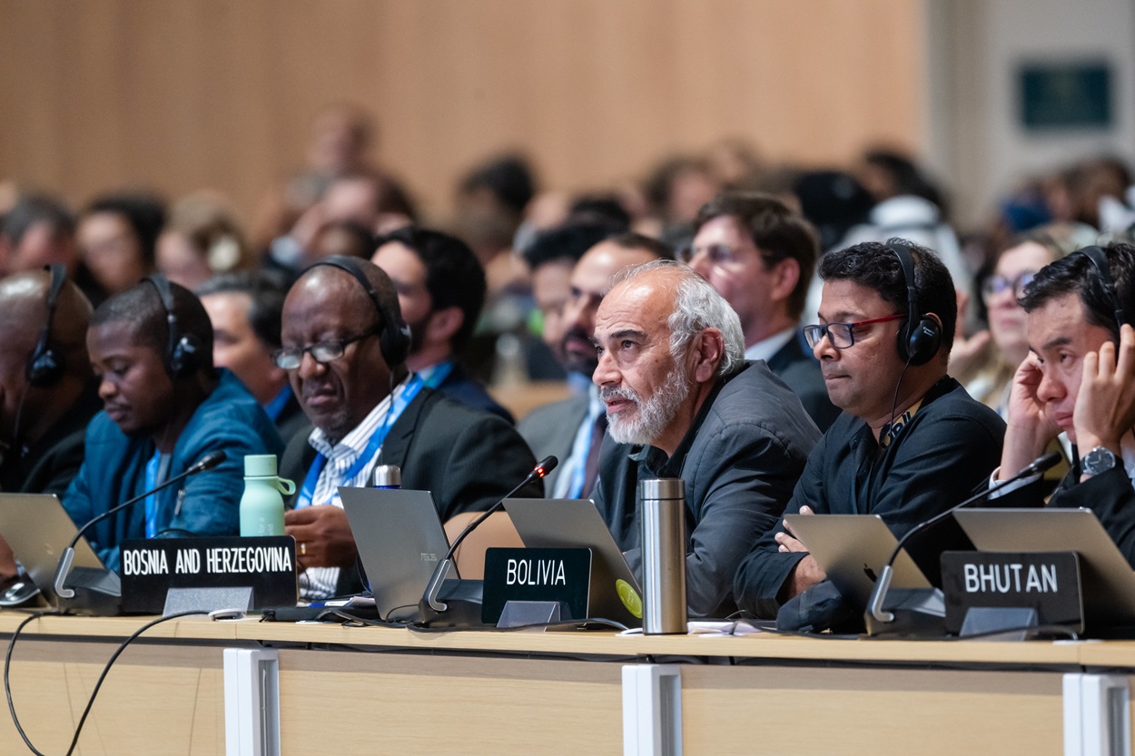 COP29 seals Article 6 deal for carbon trading, but environmental ...