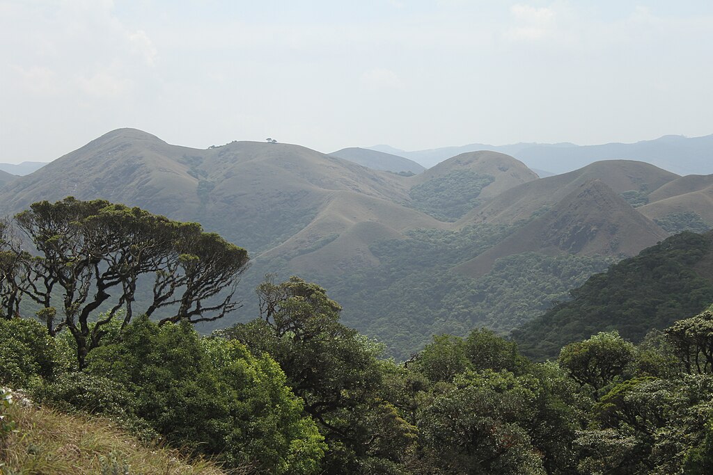 The movement that rewrote India's environmental narrative