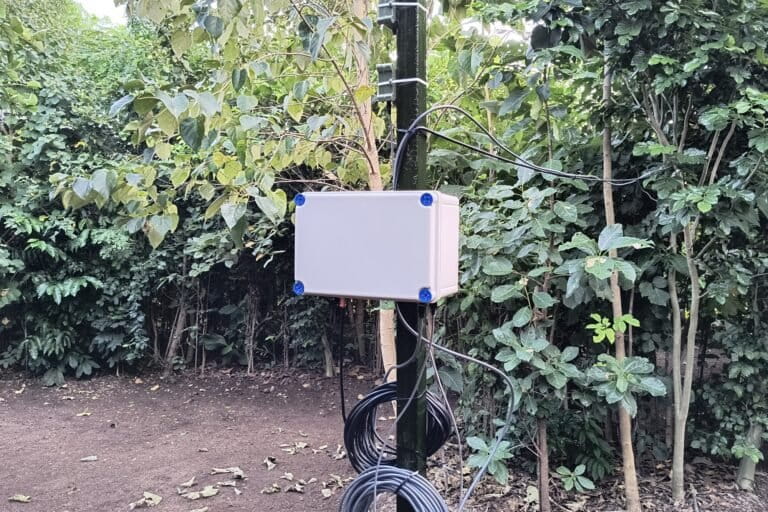 Automating bat detection for more efficient monitoring and data collection