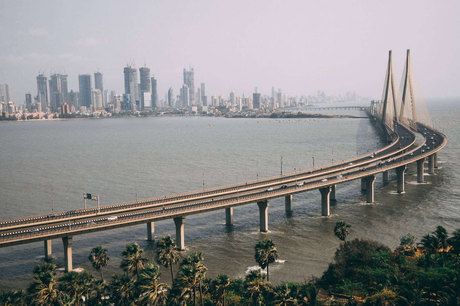 Can a native forest rewrite the story of Mumbai’s coastline? [Commentary]