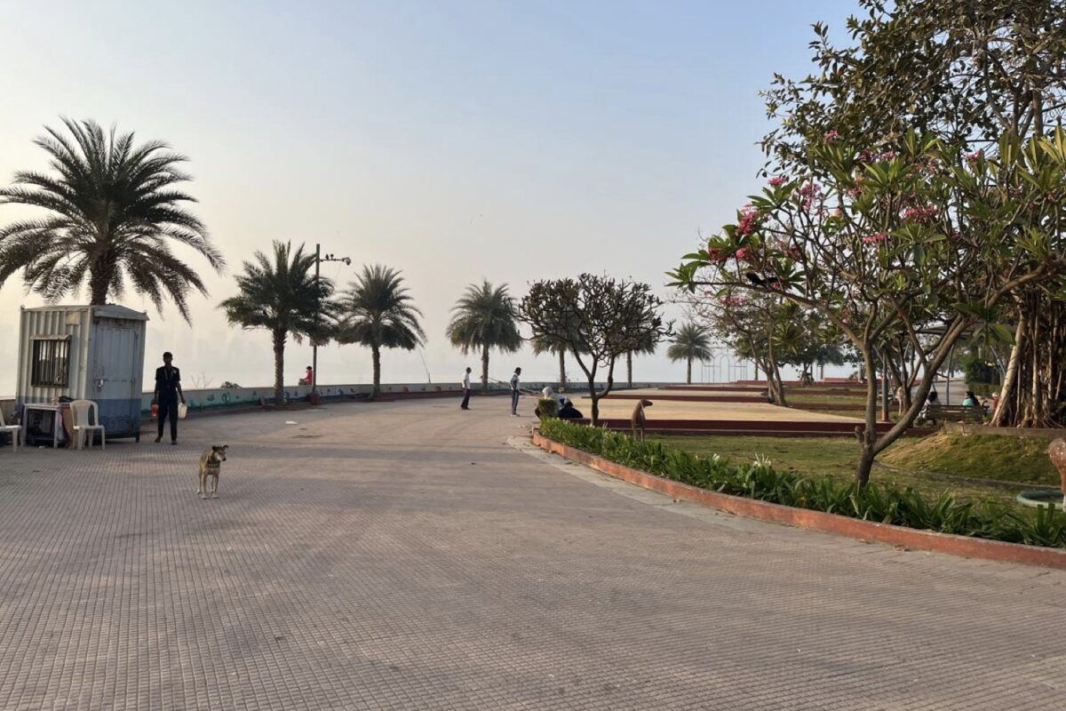 Can a native forest rewrite the story of Mumbai’s coastline? [Commentary]