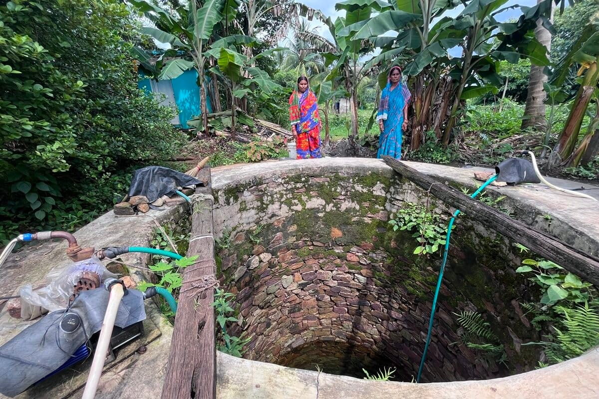 Collective action transforms farming and forests