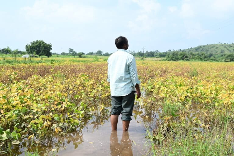 Intense rains inundate farms in region known for droughts
