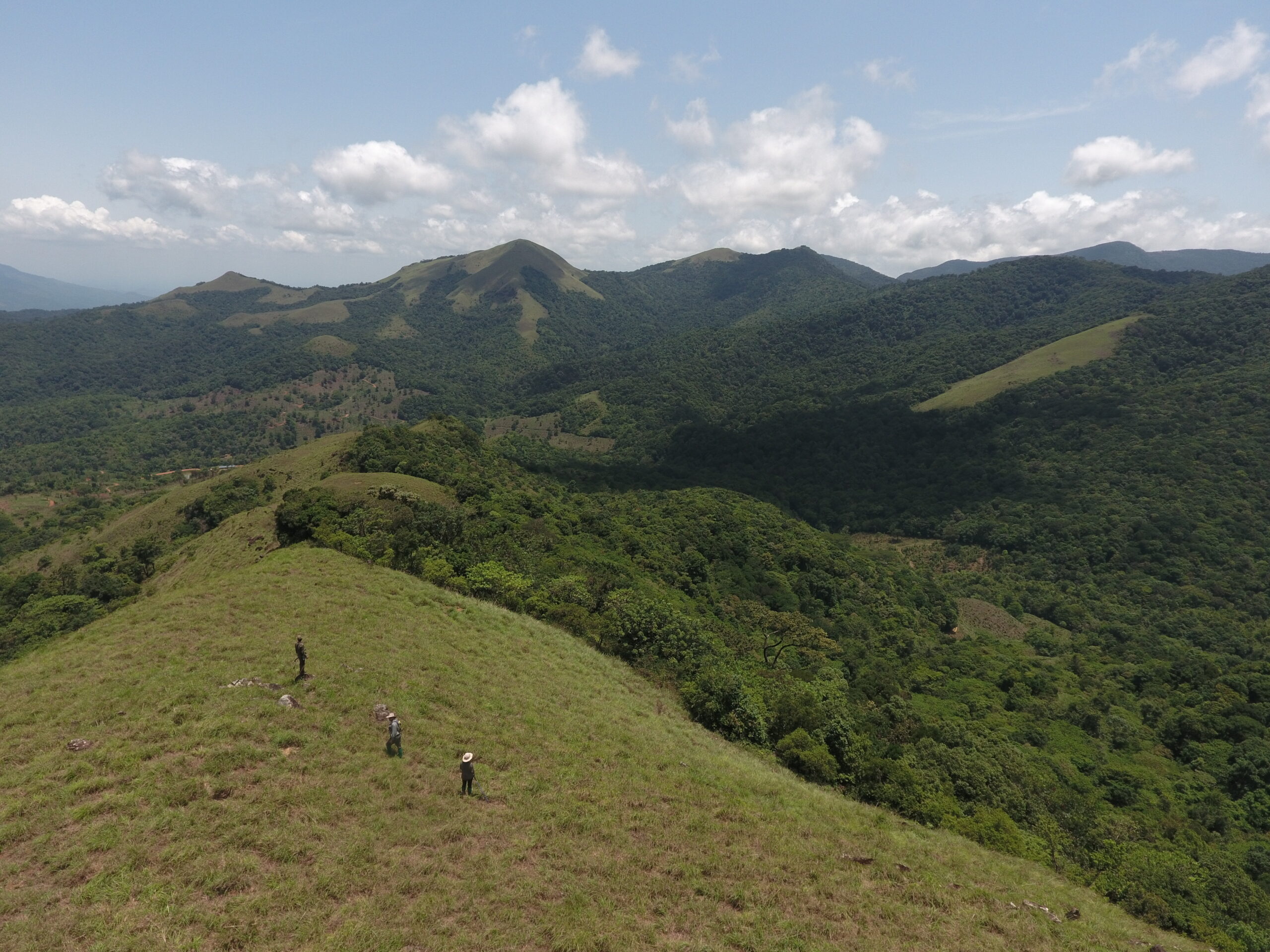 Legal ambiguity hinders rewilding efforts in India