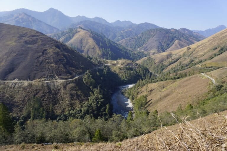 The elusive Mishmi takin faces new challenges in its changing habitat