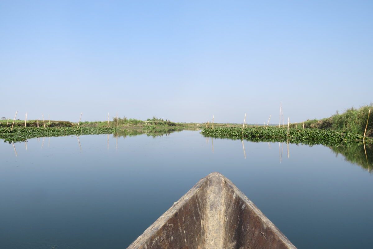 तेल कुएं में विस्फोट के बाद पुराने रूप में लौट रही असम की मगुरी बील